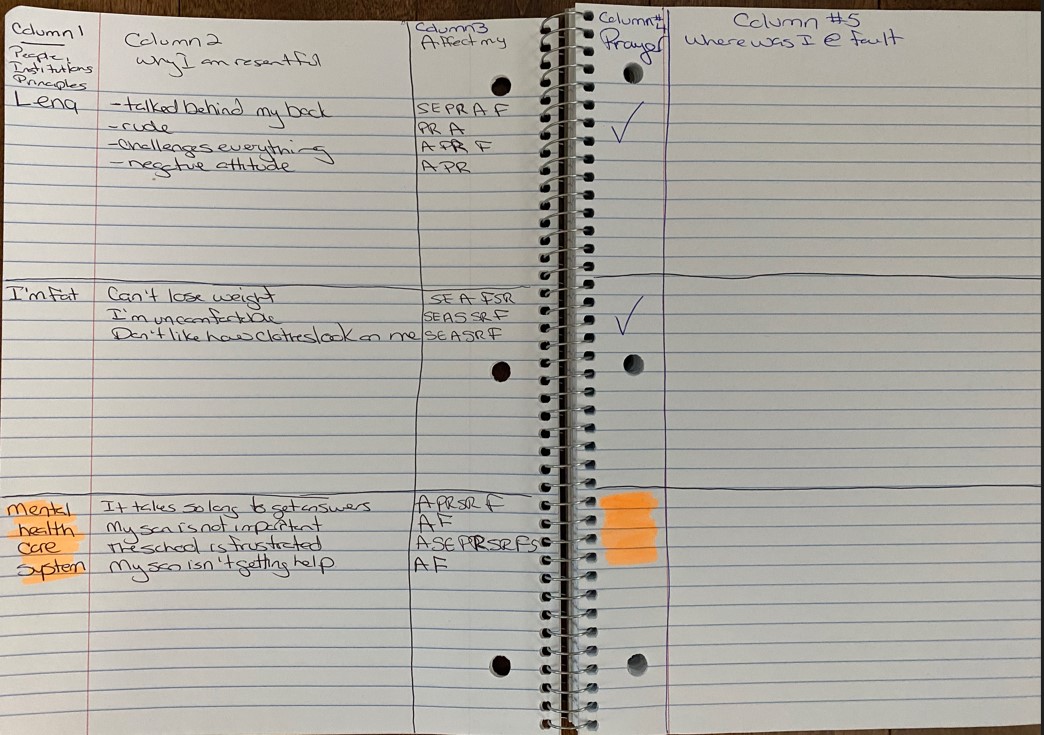 26 – Resentments – Column 4 Part 2 – OA Dandelion